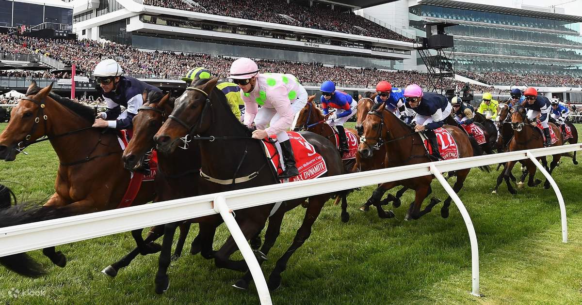 Melbourne Cup AAMI Victoria Derby Day Ticket in Melbourne, Australia ...