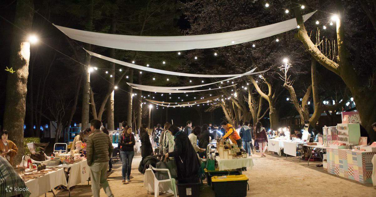 Nami Island Cherry Blossom Viewing from Seoul, South Korea - Klook