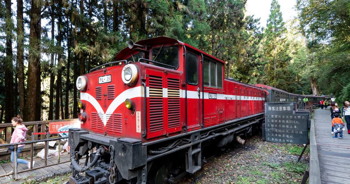Alishan Forest Railway Day Tour, Taichung, Taiwan - Klook