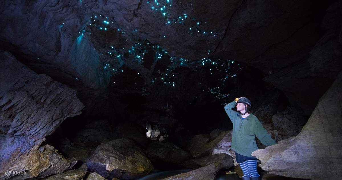 Tour privado a la cueva Glowworm con guía de Waitomo - Klook Estados Unidos