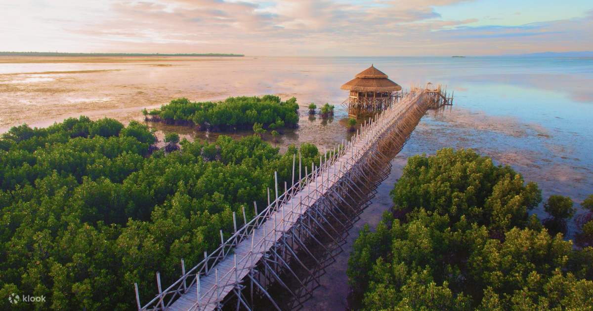 North Zen Villas with South Farm Day Use - Klook