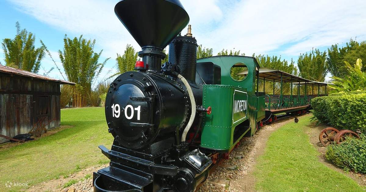 The Ginger Factory in Sunshine Coast - Klook Canada