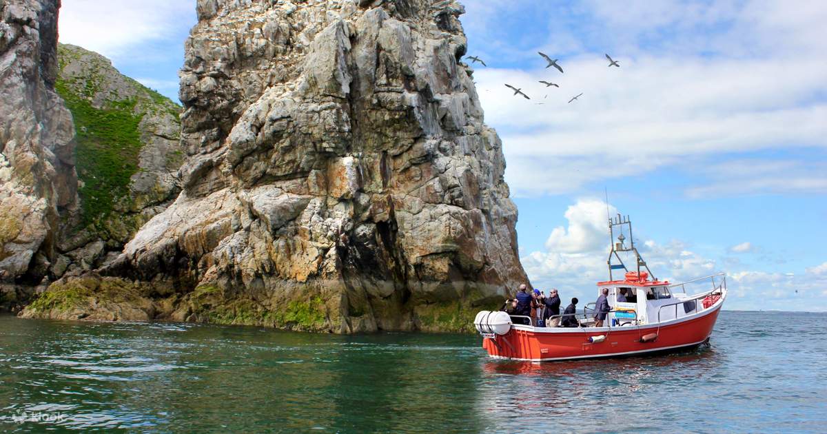 Howth Coastal Boat Tour with Ireland's Eye Ferries - Klook États-Unis