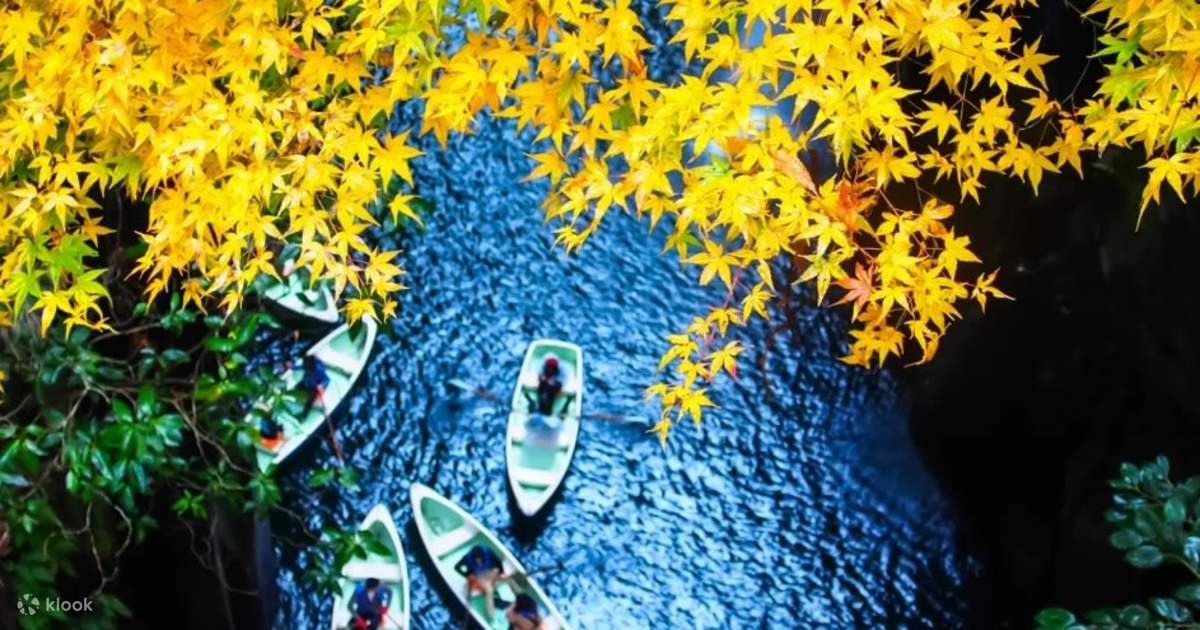Fukuoka Takachiho Gorge & Kamishikimi Kumanoza Shrine Day Tour - Klook
