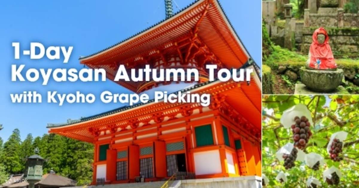 1-Day Koyasan Autumn Tour with Kyoho Grape Picking from Osaka - Klook