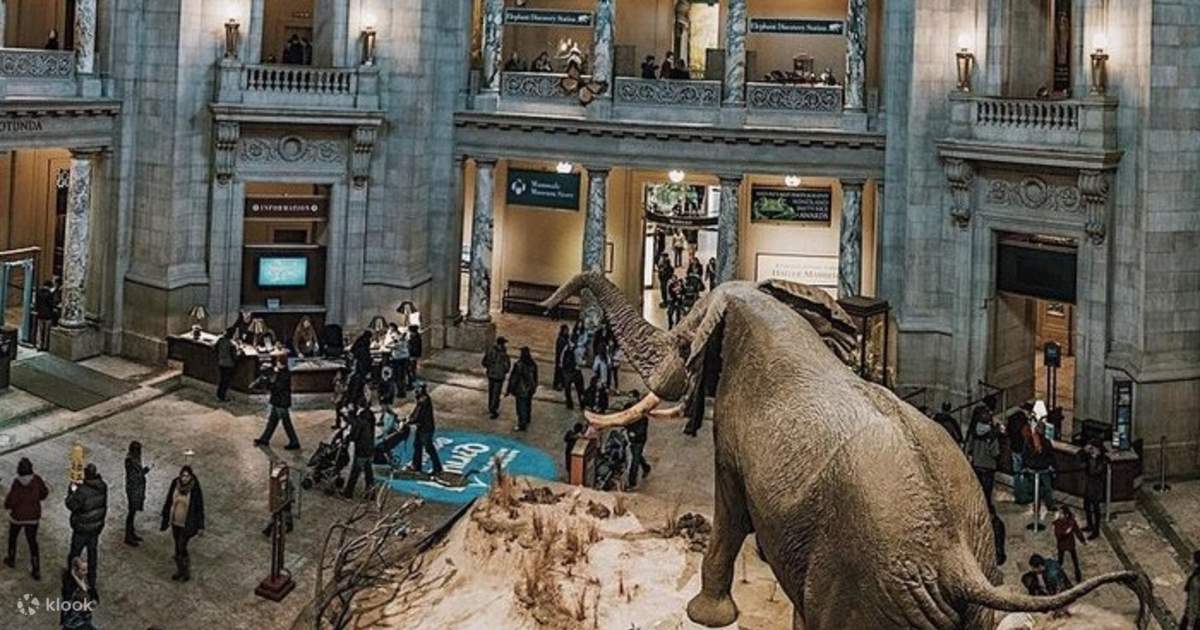 Tour allo Smithsonian National Museum of Natural History a Washington ...