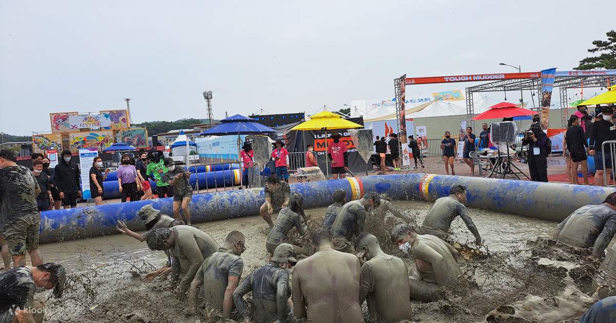 Boryeong Mud Festival + Daecheon Beach + Suspension Bridge One Day Tour ...