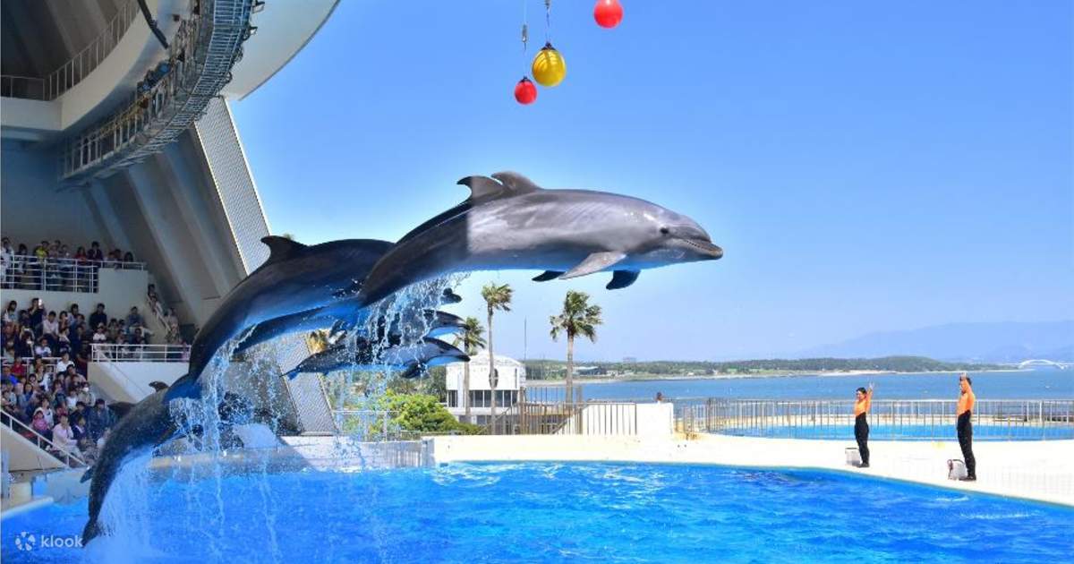 Sugoca IC Card in Kyushu, Japan - Klook