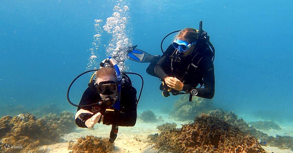 Discover Adventure: PADI Advanced Open Water Diver in Bohol with PADI 5 ...