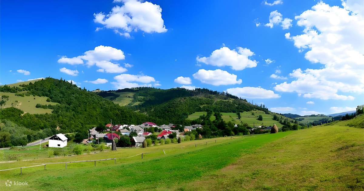 Wulong Fairy Mountain National Forest Park Private Day Tour from ...