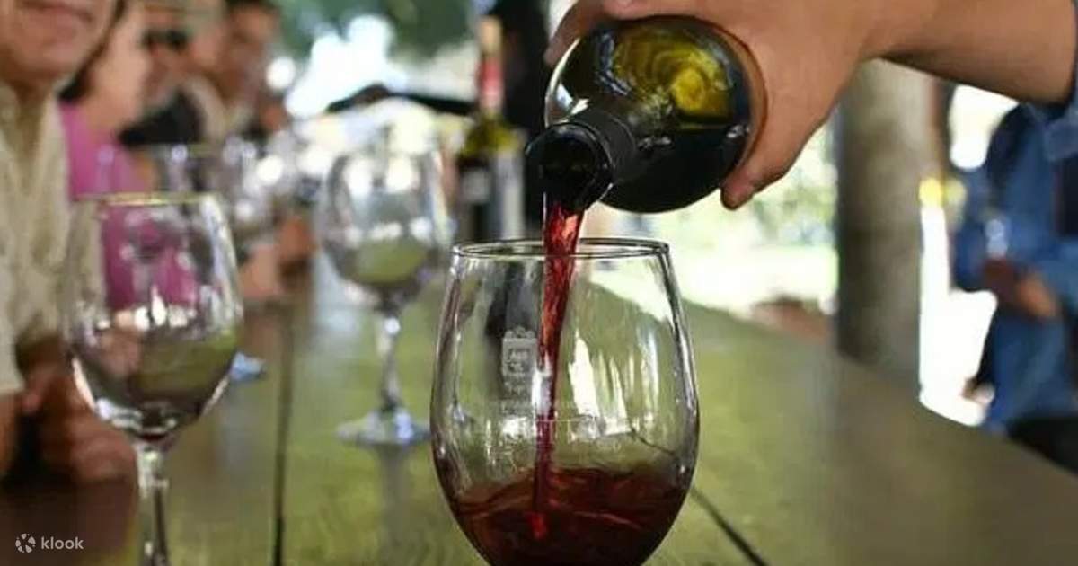 Grand Mexico Wine Country Tour from San Diego - Klook United States