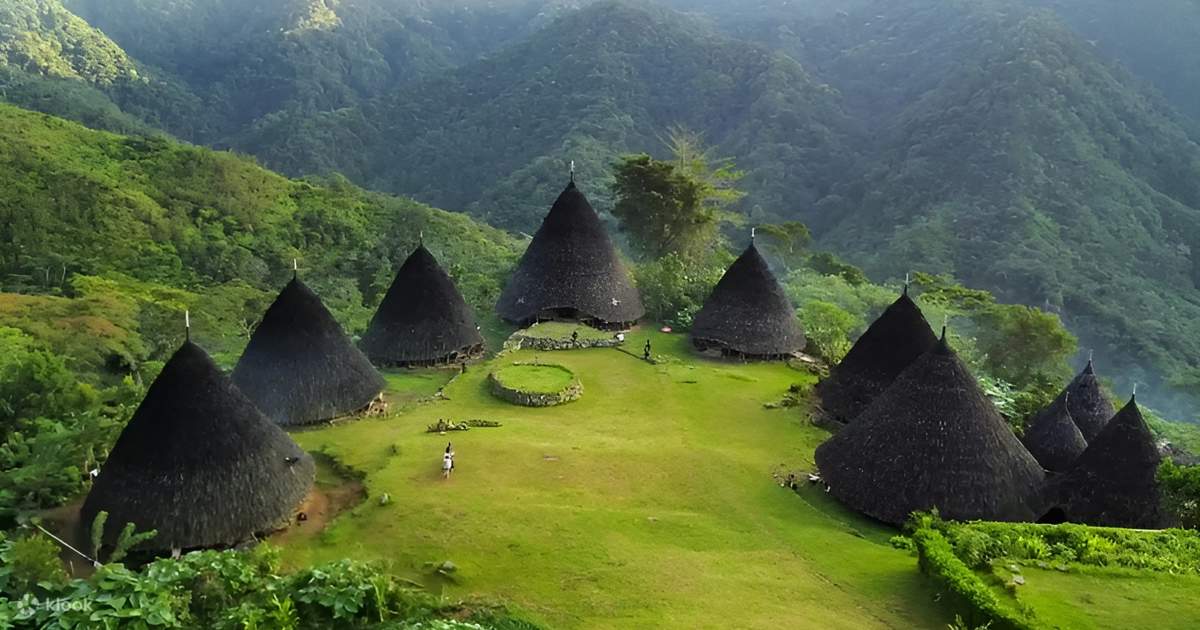 Wae Rebo Village Overnight Tour from Labuan Bajo - Klook