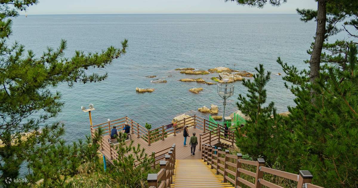 Sokcho Private Car with Driver: Sokcho's Beach, Seoraksan, Abai Village ...