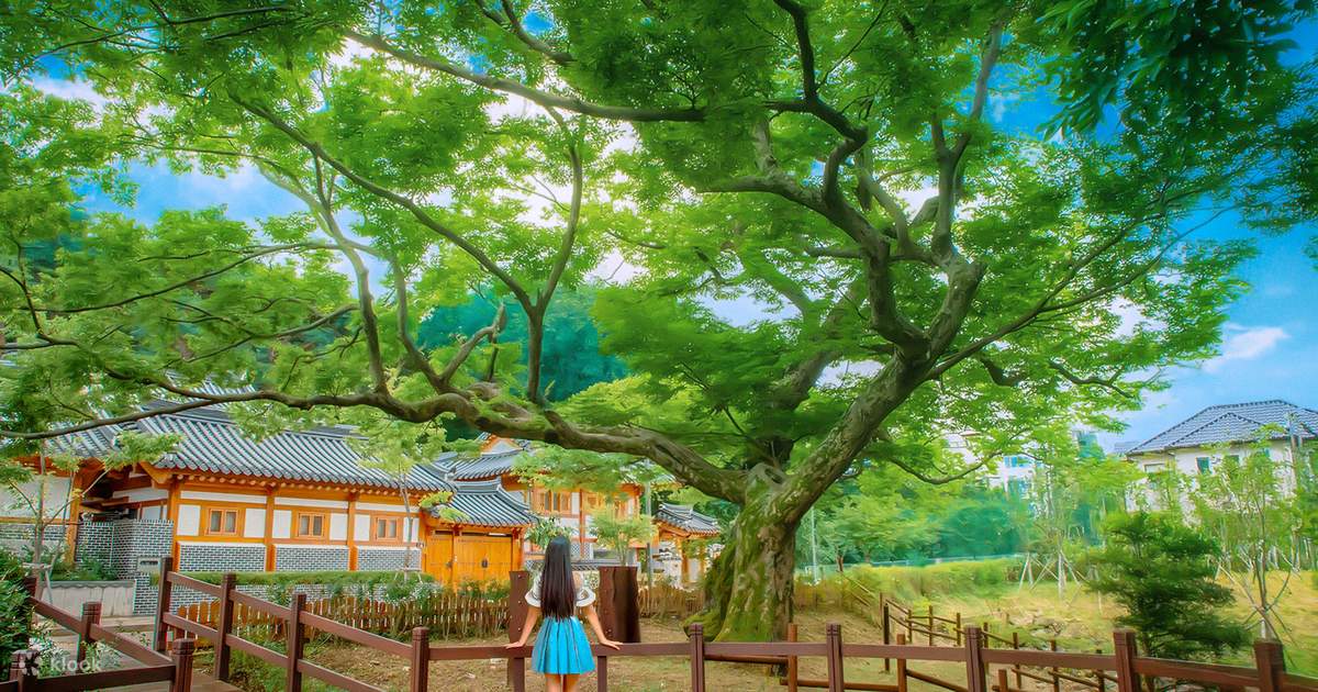 Color of Nature | Hidden Nature Day Tour Near Seoul - Klook