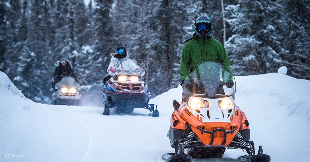 Alaska Fairbanks Snowmobile Experience Day Tour (1h) - Klook