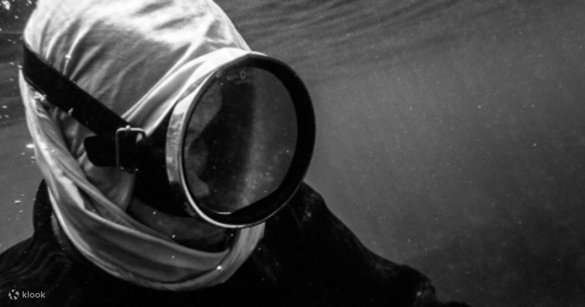 Ama Sea Divers Private Day Tour - Klook