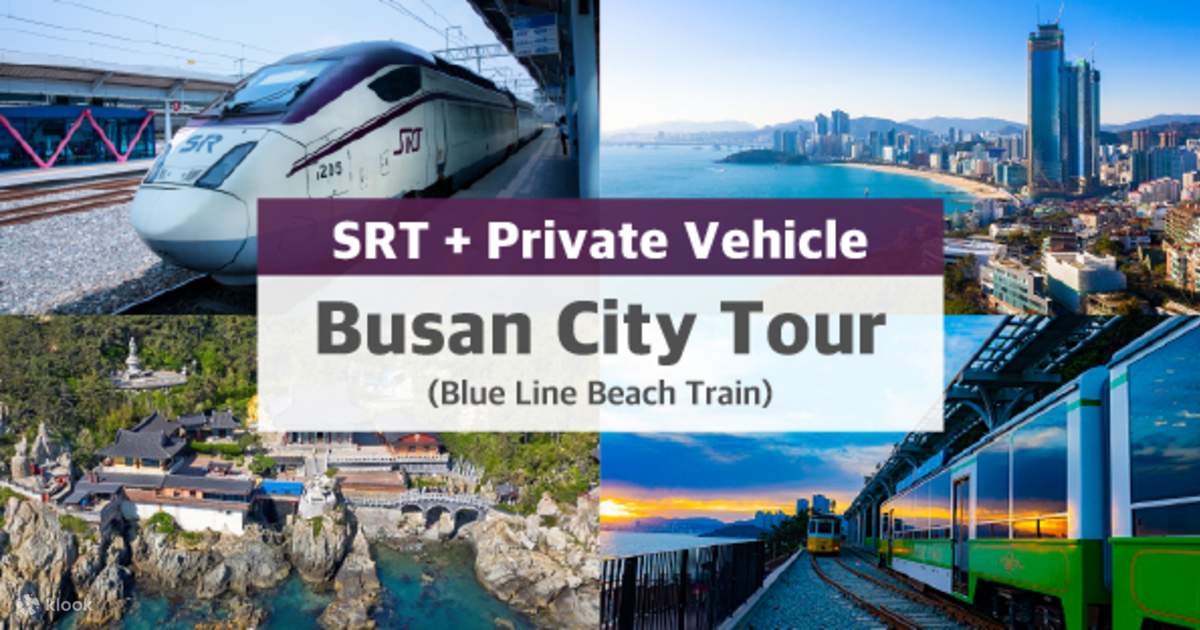 SRT + Busan Private Tour - Klook