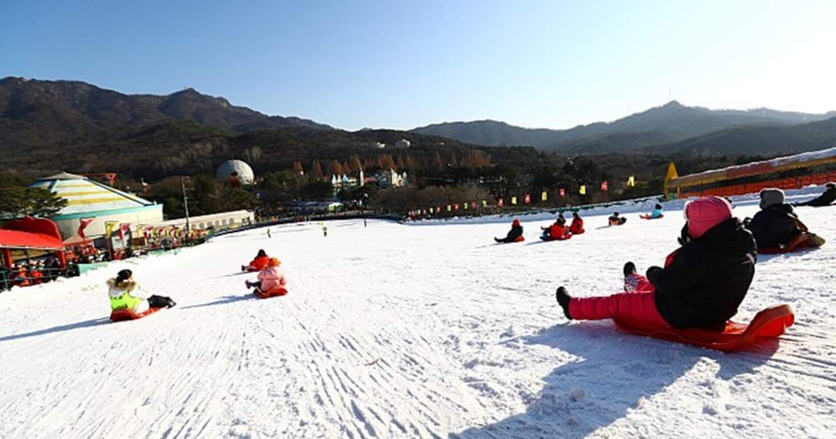 Traslado de ida y vuelta a Seoul Land y Seoul Grand Park + Entradas ...