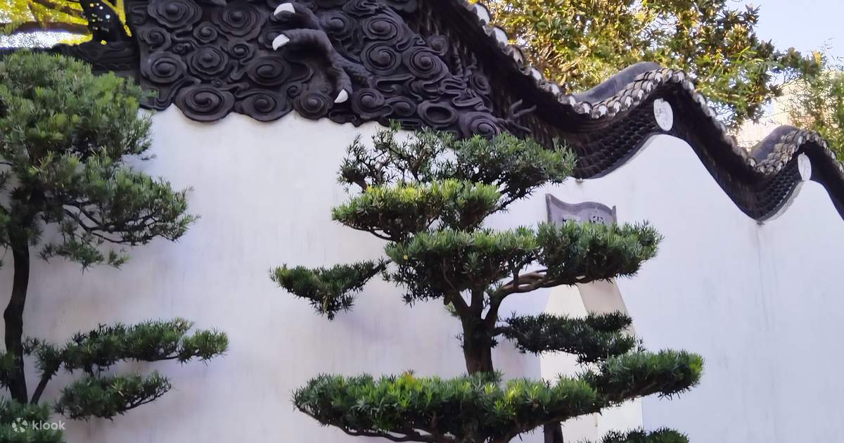 Visita guidata professionale allo Yu Garden di Shanghai + Tour con ...