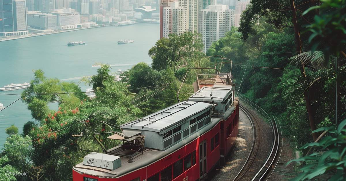 Victoria Peak & Central & Victoria Park One-Day Tour (Depart from ...