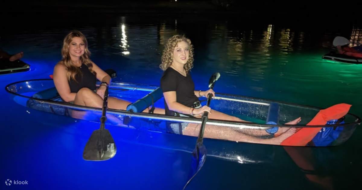 LED Night Glow Clear Kayak or Paddleboard Tour in Orlando - Klook