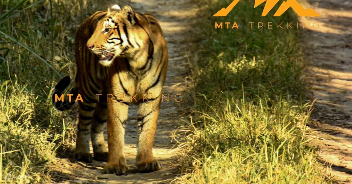 Esplora il Nepal: Tour di 3 giorni tra cultura, fauna selvatica e ...