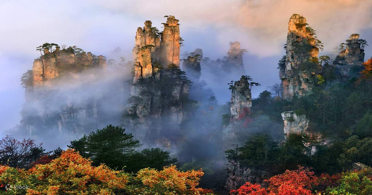 zhangjiajie-vip-national-forest-park-grand-canyon-two-days - Klook Malaysia