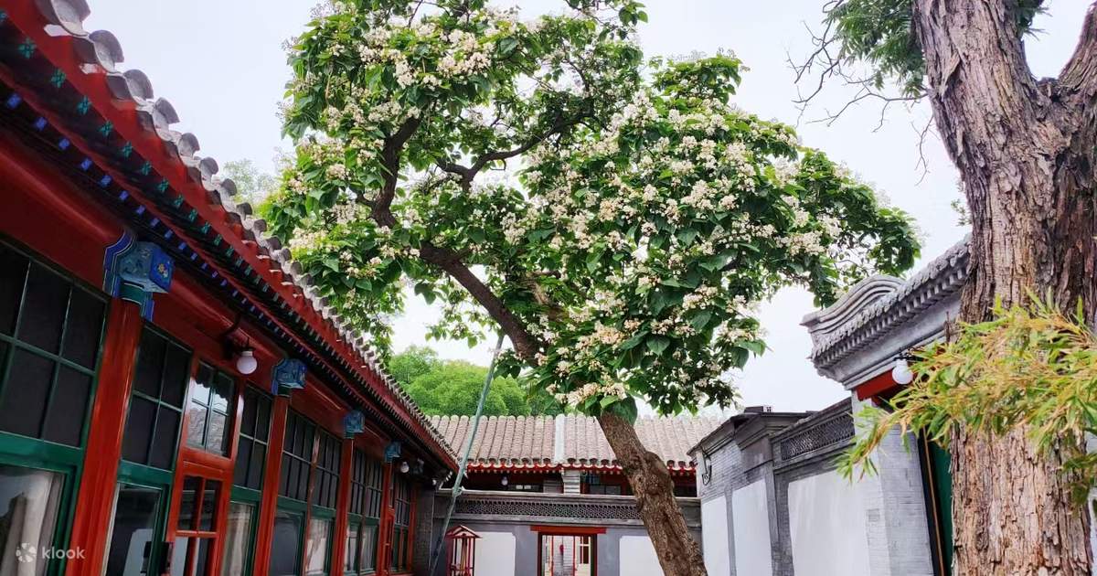 Beijing native uncle accompanies you to visit the Hutongs + Shichahai ...