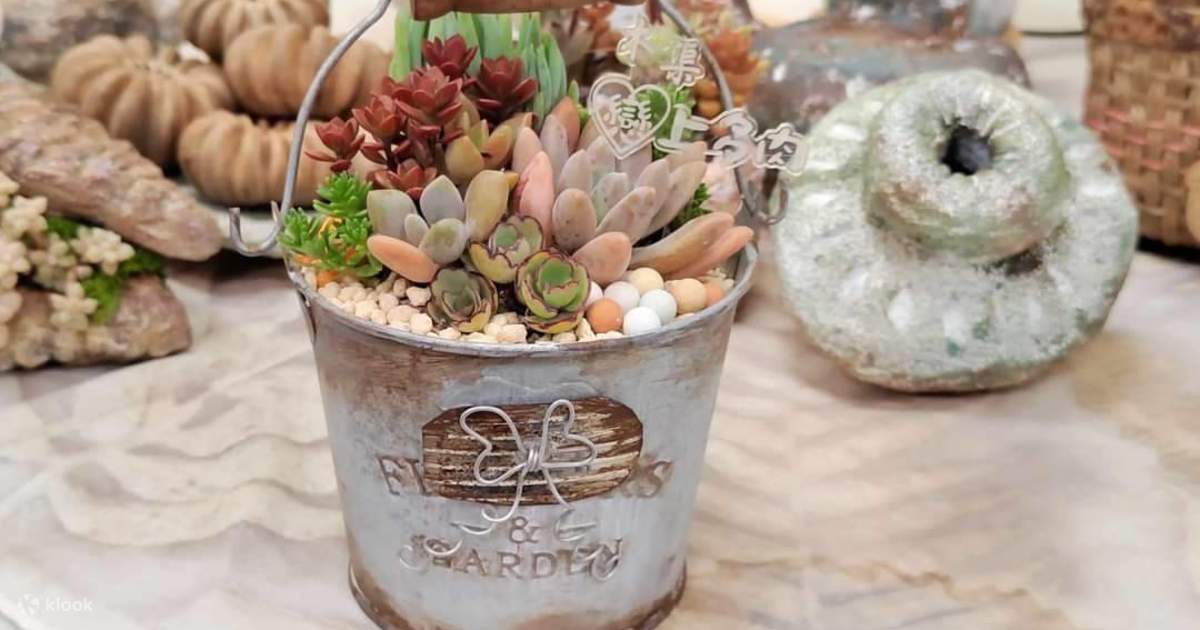 Yilan: Pengalaman membuat pot tanaman sukulen DIY - Klook Indonesia
