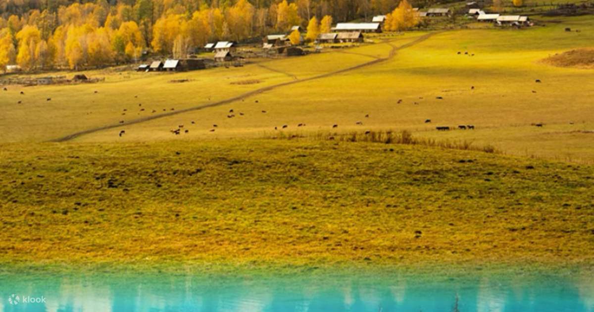 9-Day Immersive Altay, Northern Xinjiang Tour (Keketuohai Scenic Area ...