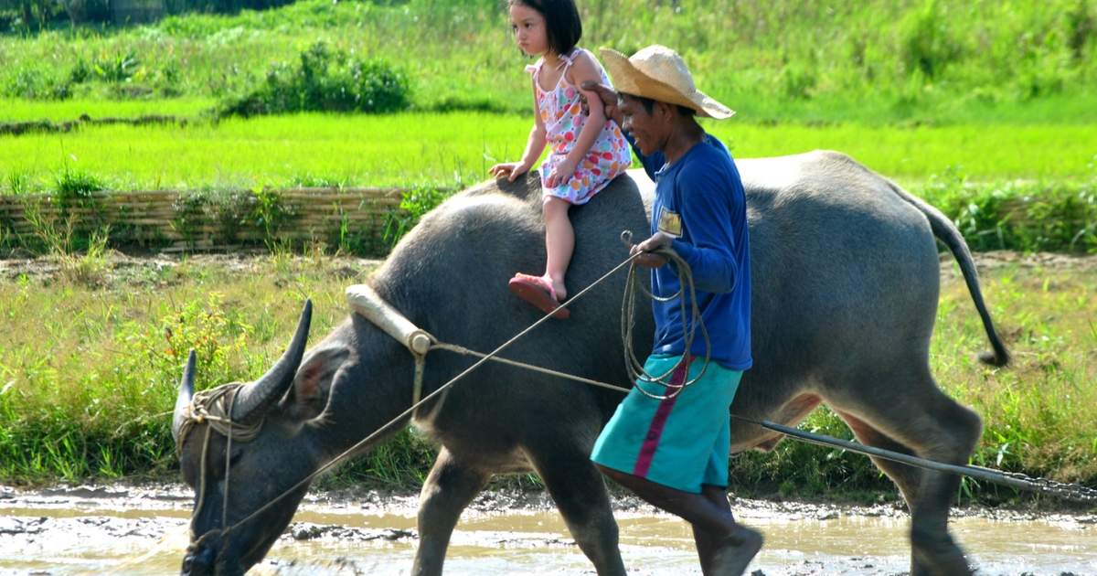 Motag Living Museum Tour in Boracay, Philippines - Klook United States