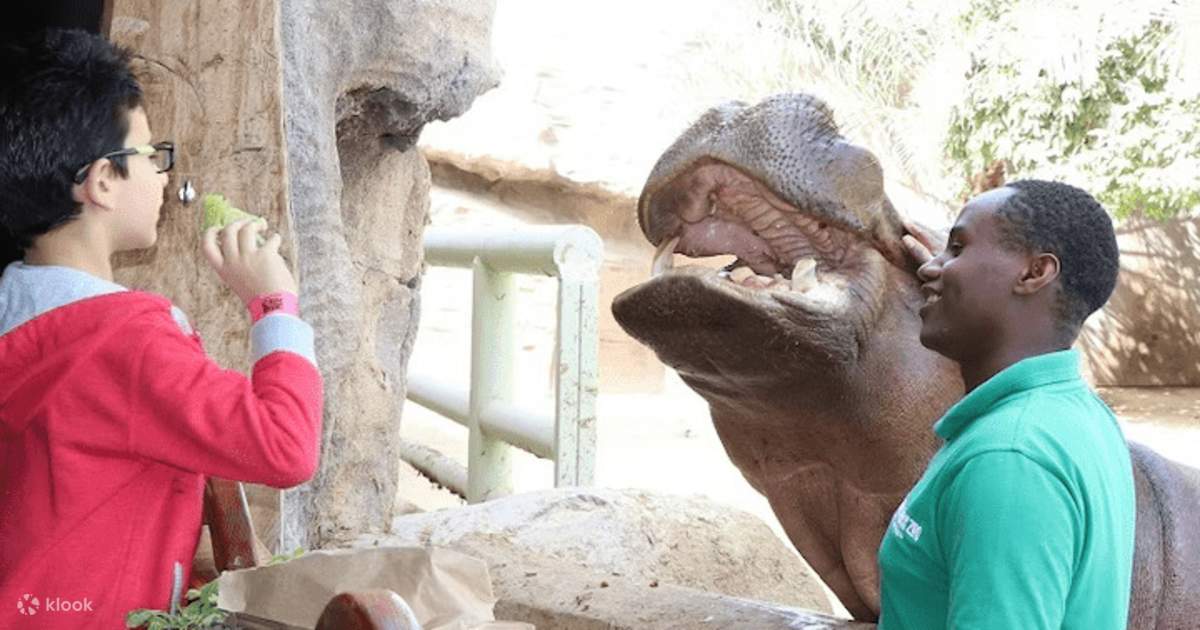 Emirates Park Zoo in Abu Dhabi - Klook