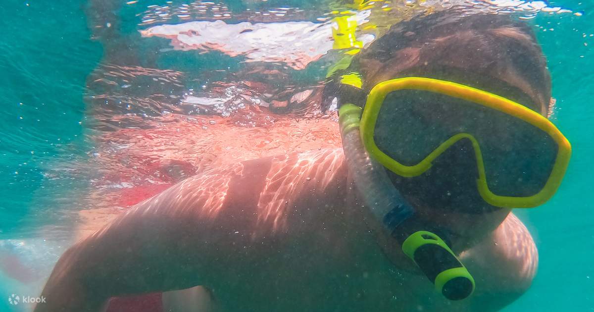 Turtle Island, Glass Bottom Boat and Mangrove Cruise by JTB Indonesia ...