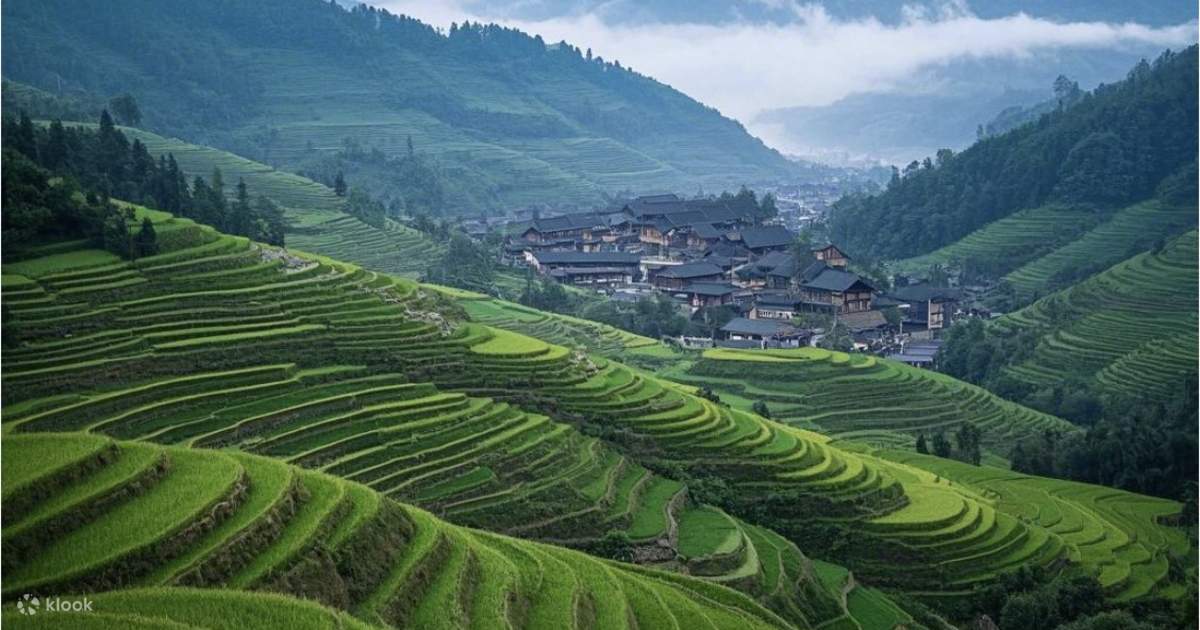 Visite privée de Guilin : les rizières en terrasses de Longji et le ...