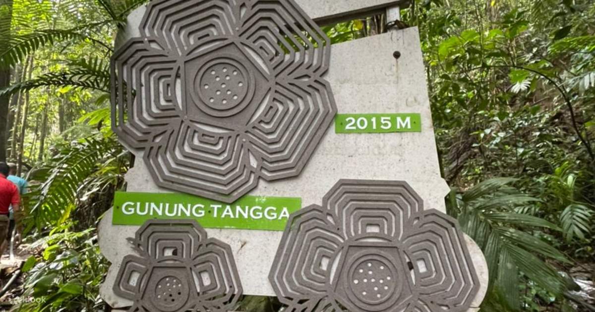 Rafflesia Half Day Trekking Trip in Cameron Highlands, Malaysia | Klook