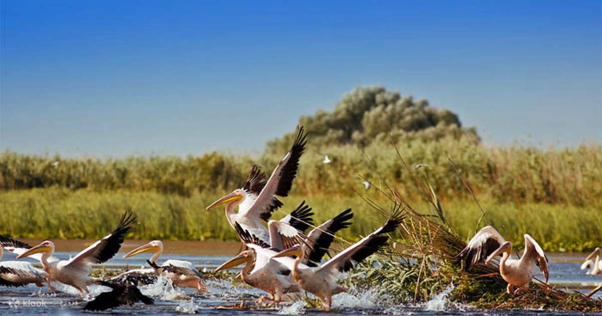 Escape to the Danube Delta – Day Tour from Bucharest - Klook Malaysia