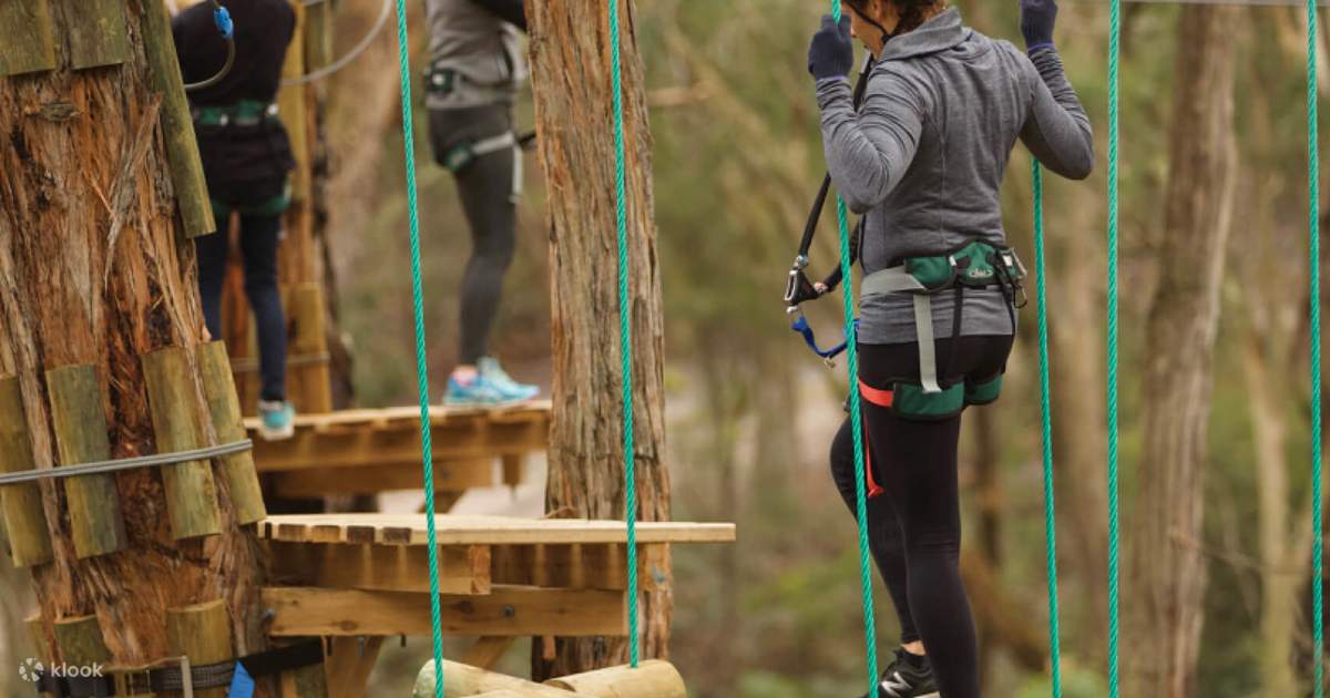 Treetops Adventure Yeodene Park Experiences - Klook