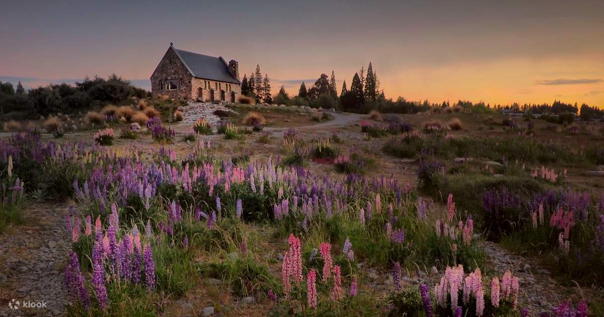 Eksplorasi Kelompok Kecil Setengah Hari di Lake Tekapo - Klook Indonesia