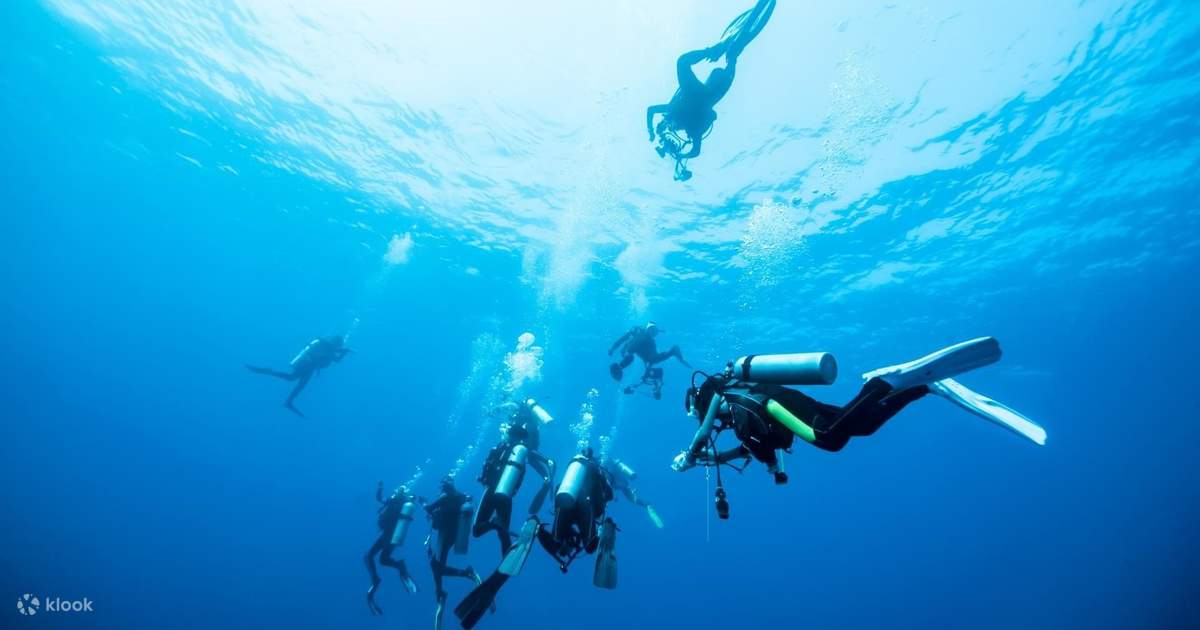 PADI AOW Diver in Pattaya | PADI 5 Star IDC - Klook