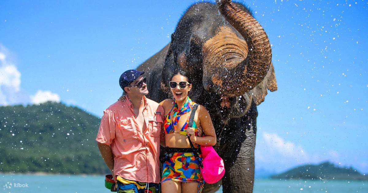 1 Day Join In Elephant Care Camp in Phuket - Klook