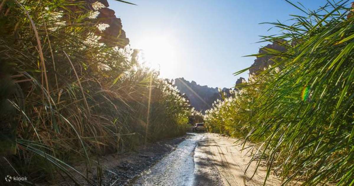 Al-Disah Valley Safari in Tabuk - Klook Philippines