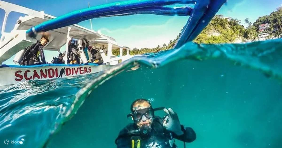 Rasakan Sensasi Scuba Diving di Mindoro bersama PADI 5 Star Dive Resort ...