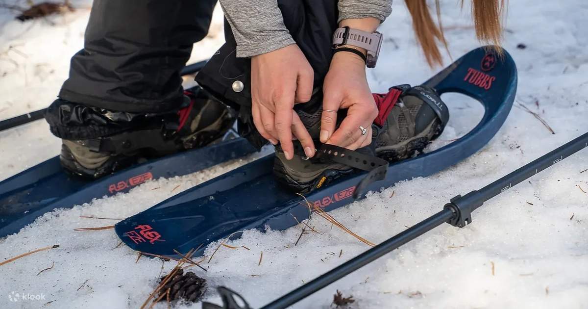 Tahoe Snowshoe Rental and Self-Guided Tour in Lake Tahoe - Klook