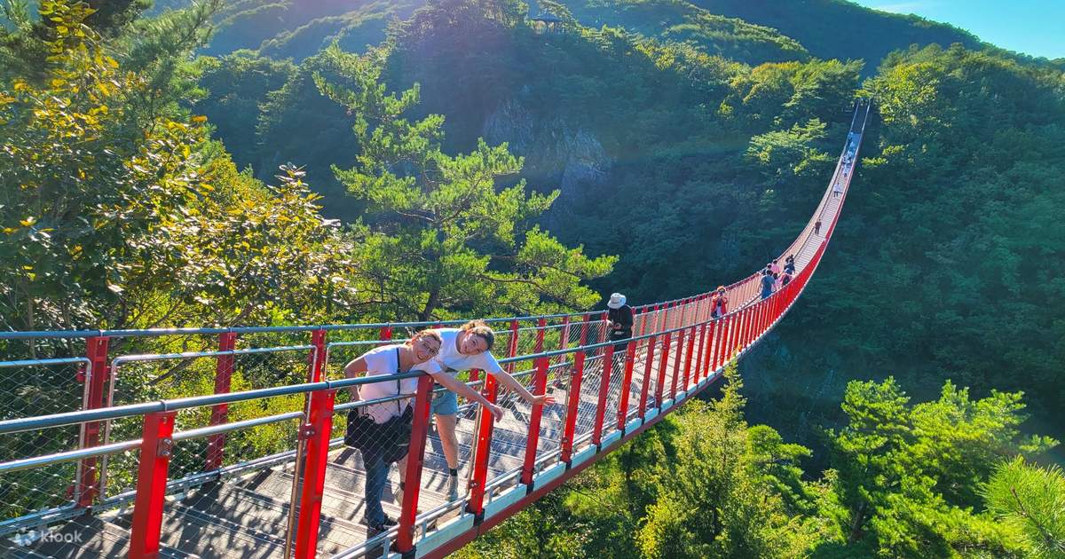 DMZ One Day Tour from Seoul - Klook