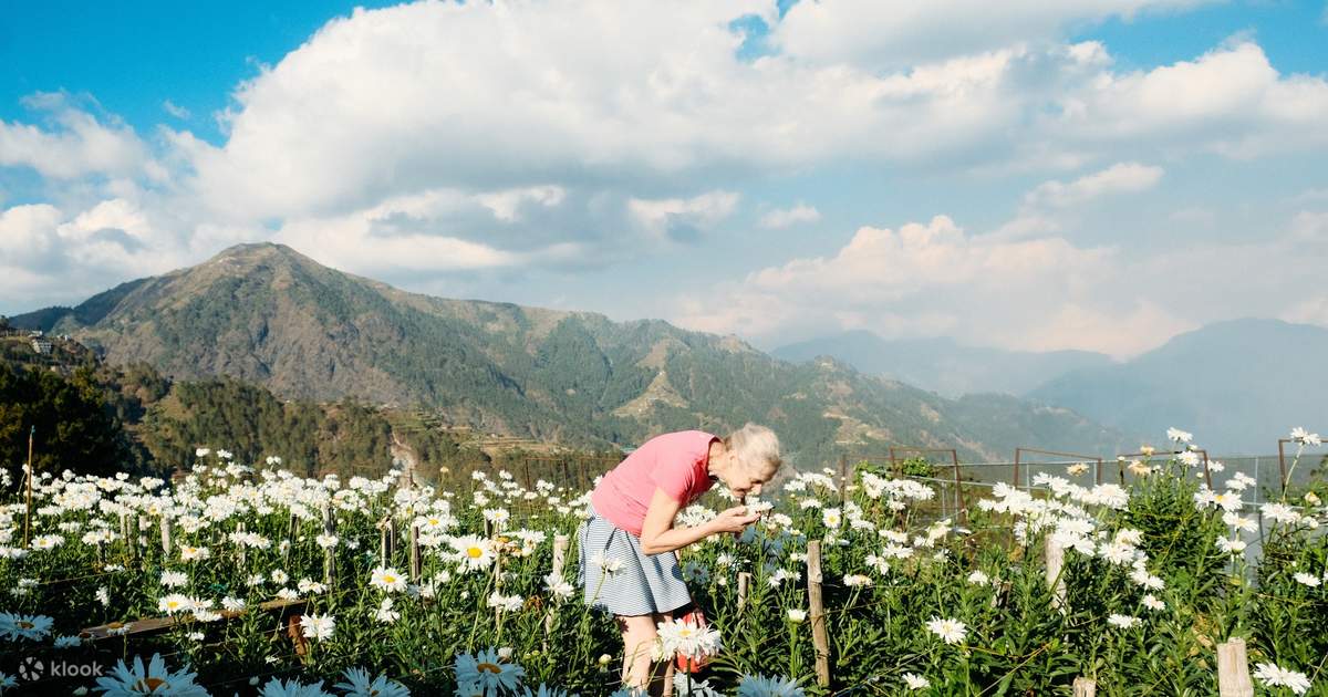 Northern Blossom & Beyond: Atok Gardens Private Day Tour - Klook ...