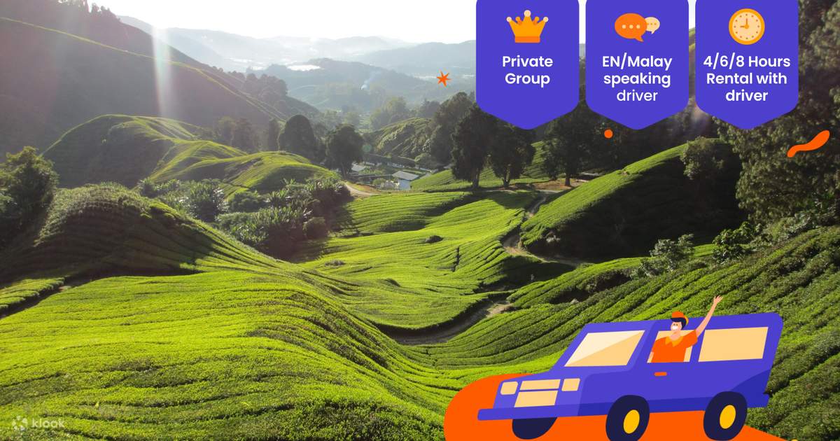 Cameron Highlands Private Car or Van Charter - Klook