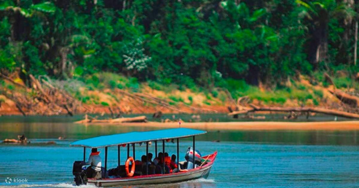 Benamkan Diri Anda di Alam: Petualangan 3 Hari Manu Jungle Tour - Klook ...
