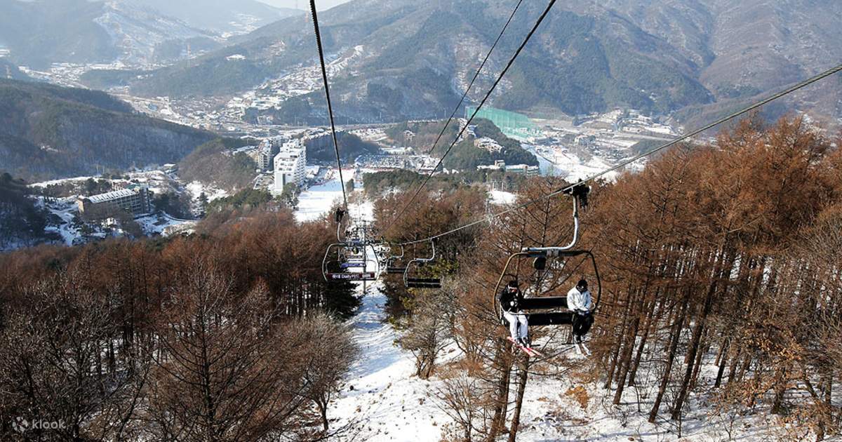 Bears Town Ski Resort + Herb Island Light Festival - Klook Việt Nam