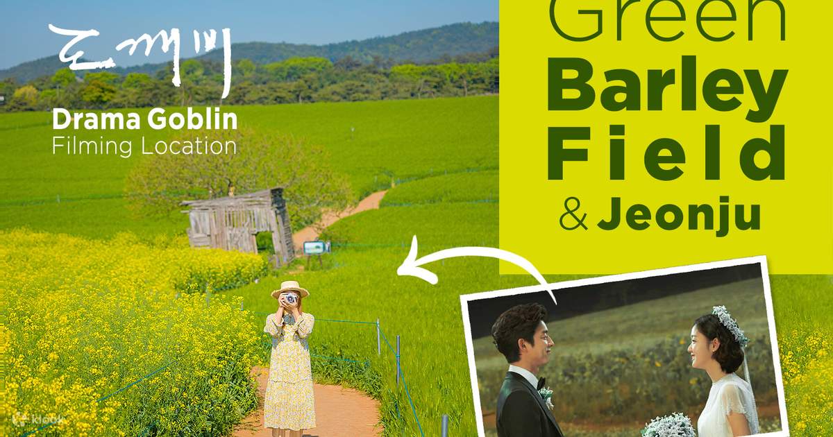 Jeonju & Green Barley Field - Klook