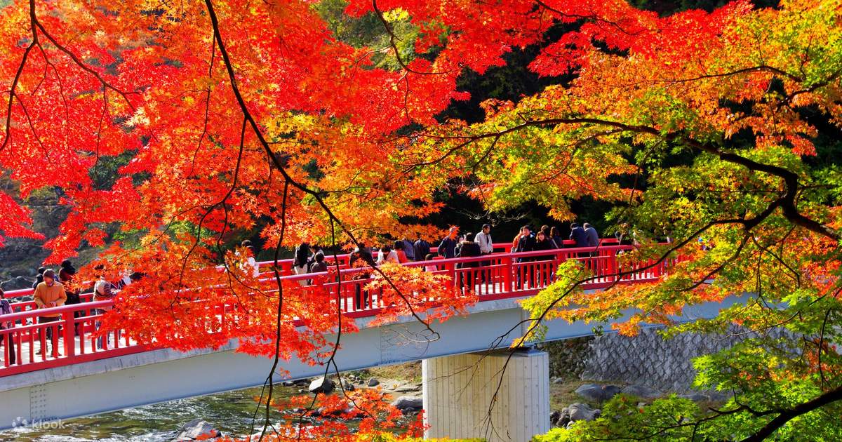 Korankei and Obara One Day Bus Tour with Sakura & Maple Leaves Viewing ...